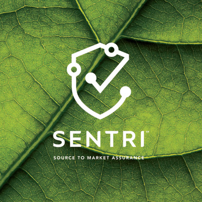 Pyxus - Home | Pyxus